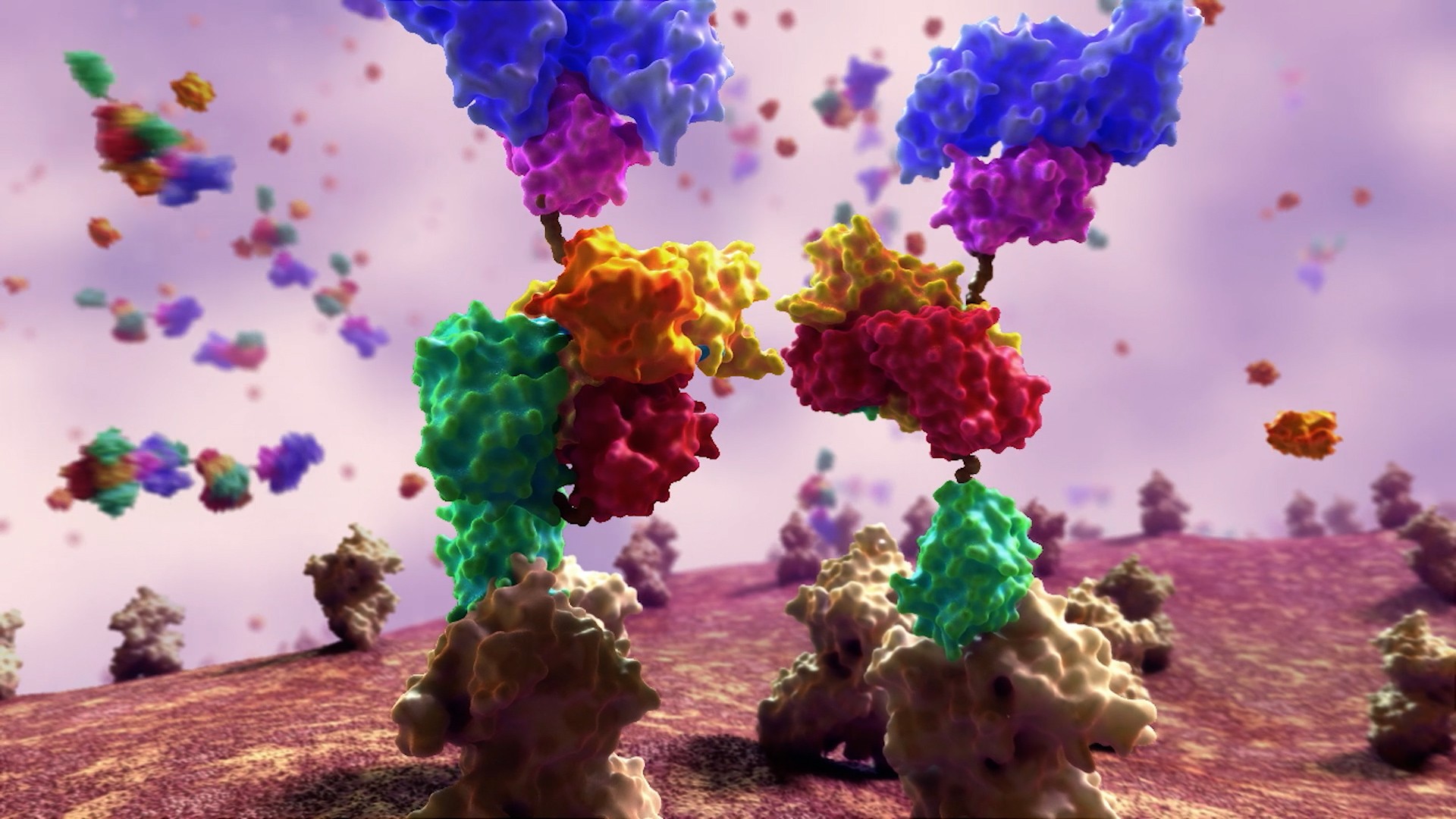 COBRA PLATFORM MOA - XVIVO