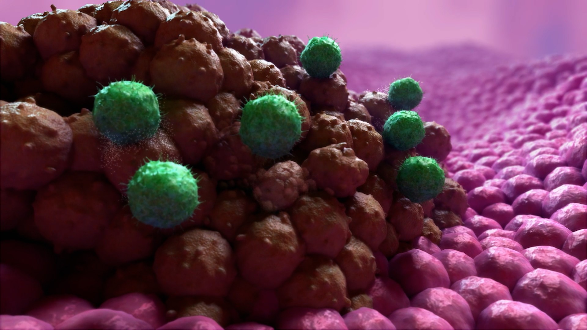 COBRA PLATFORM MOA - XVIVO